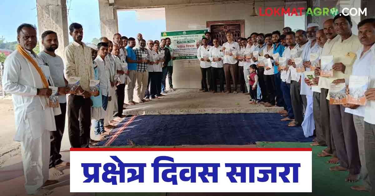 कृषि विज्ञान केंद्राच्या वतीने दूधपूरीत प्रक्षेत्र दिवस साजरा | Field ...