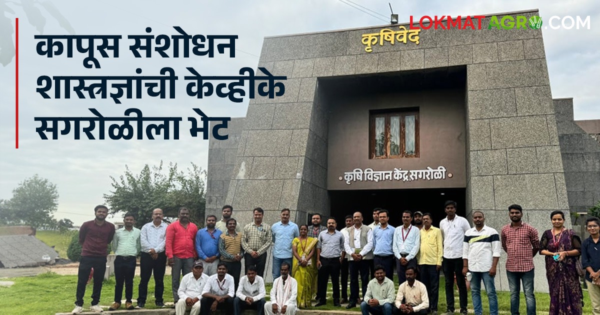 KVK Sagroli : केंद्रीय कापूस संशोधन केंद्राच्या शास्त्रज्ञांची कृषि ...