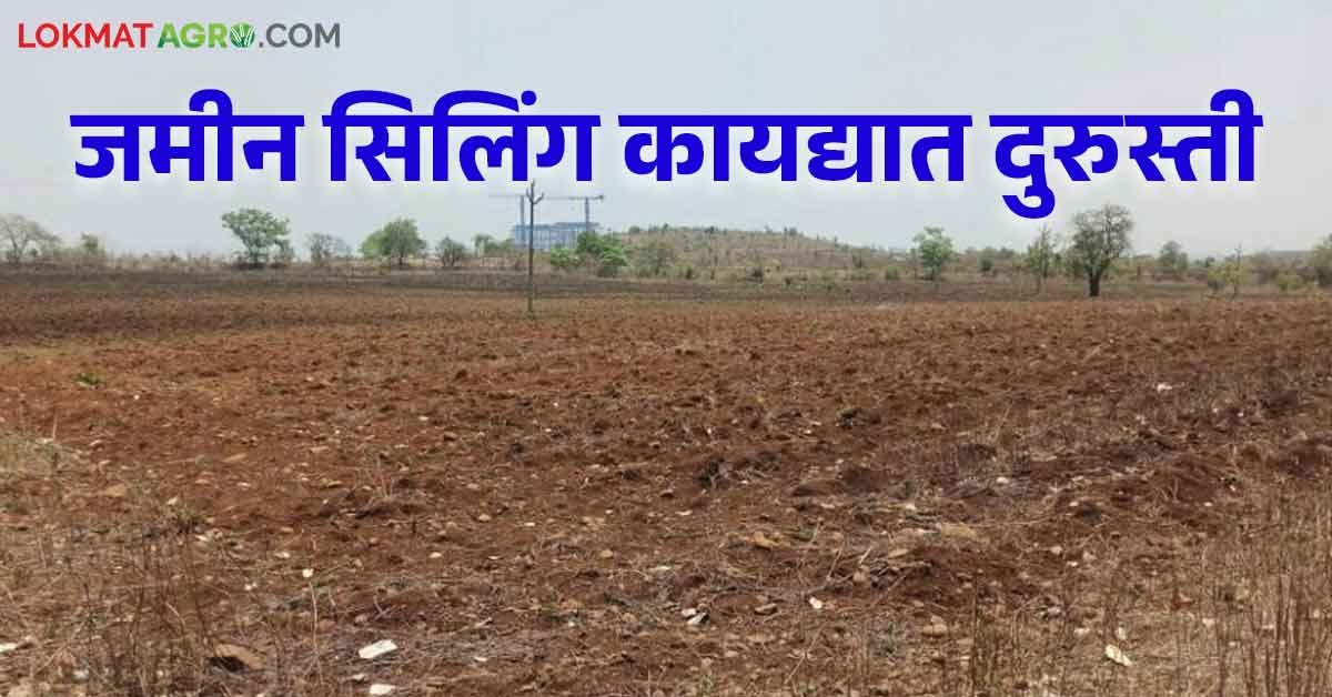 Land Ceiling : सिलिंग कायद्यात दुरुस्तीचे आदेश सात हजार एकर जमीन ...