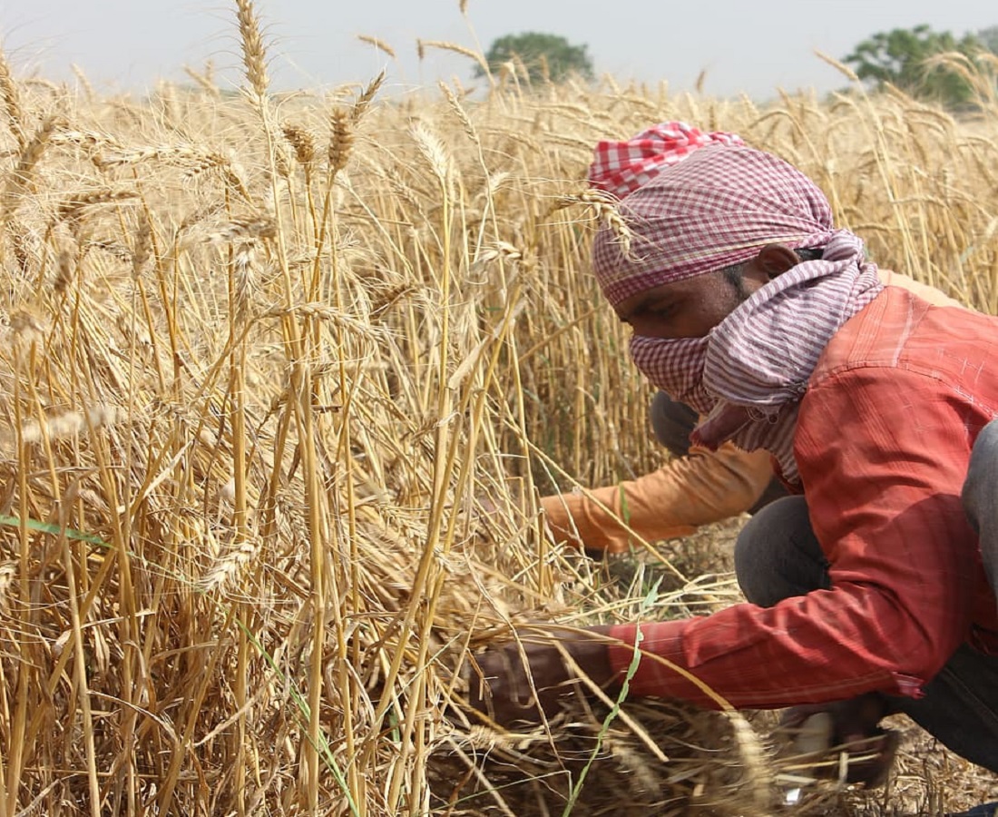 भूमिहीन शेतमजुरांसाठी मिळणार दरमहिना ३००० रुपये पेन्शन, कुठे कराल अर्ज ...