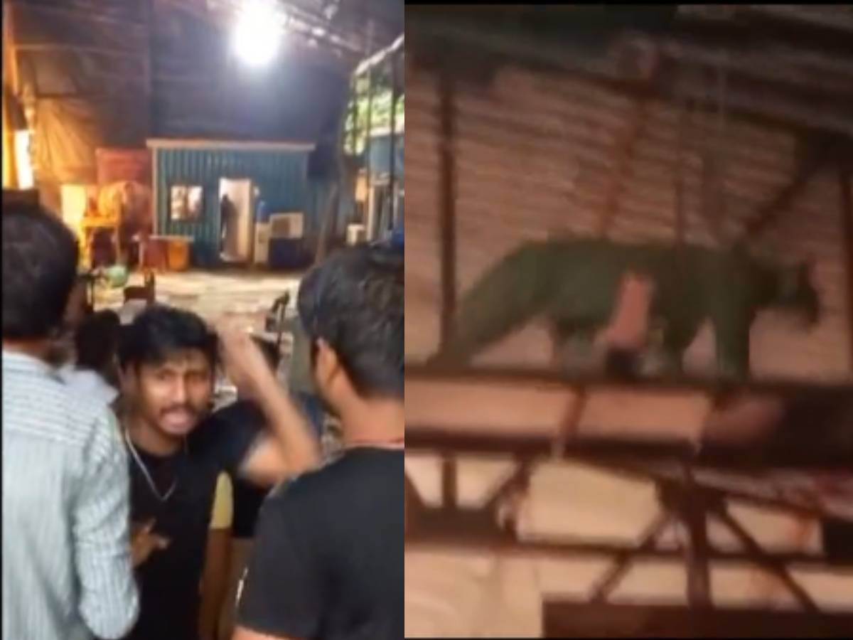 गोरेगाव फिल्मसिटीत पुन्हा बिबट्याचं दर्शन, मराठी मालिकेच्या सेटवर धावाधाव; Video व्हायरल ...