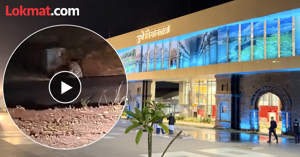 Pune: पुण्याच्या विमानतळ परिसरात बिबट्या, सगळ्यांना फुटला घाम; तुम्ही व्हिडीओ बघितला का? Pune ...