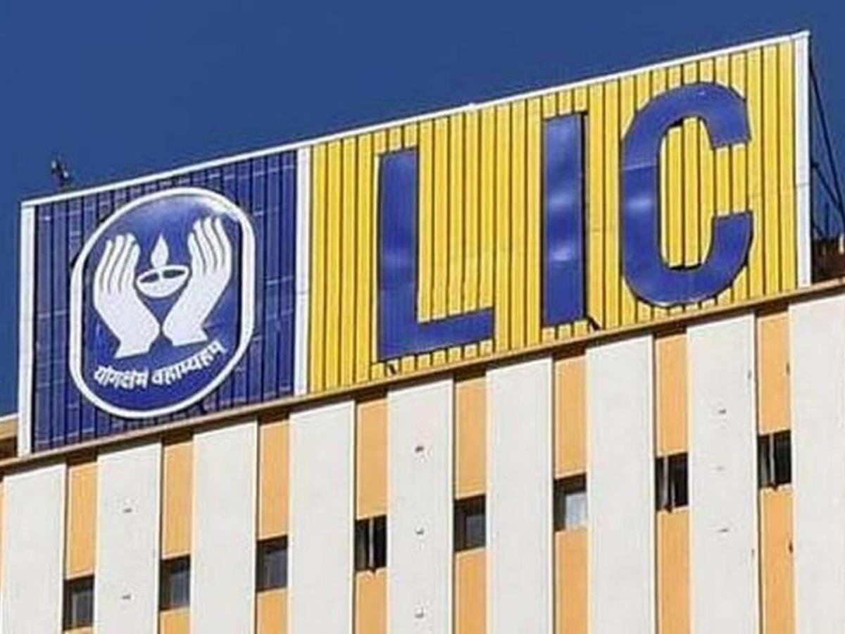 LIC IPO: LIC पॉलिसीधारकांनो इकडे लक्ष द्या; IPO मध्ये शेअर हवेत तर आधी ...