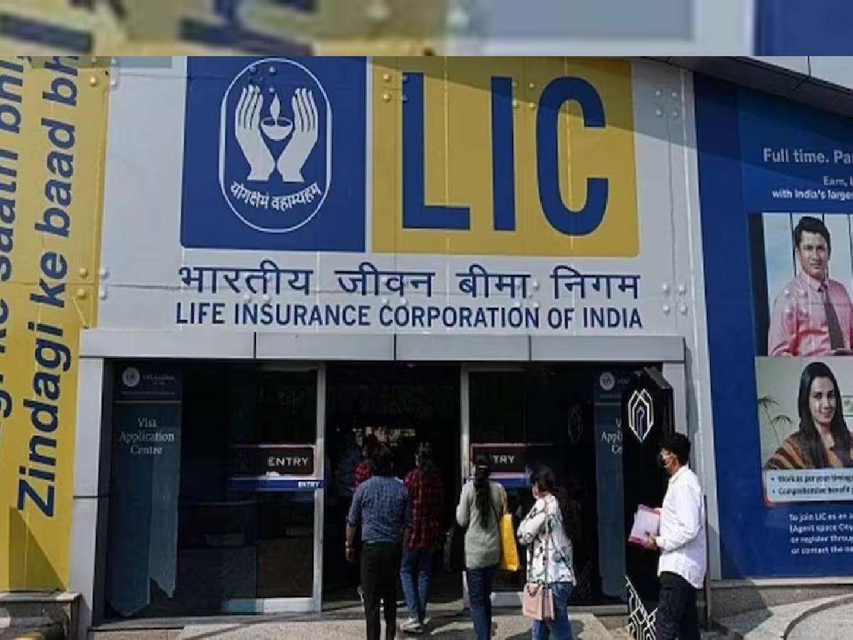 LIC' ची खरेदी सुरूच! 'या' दहा कंपन्यांचे खरेदी केले शेअर्स, तुमच्याकडे ...