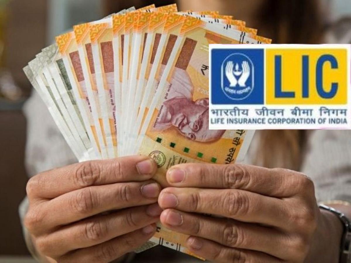 LIC ची धमाकेदार विमा पॉलिसी, लोकांनी लगेच घेतली, 15 दिवसांत 50,000 ...