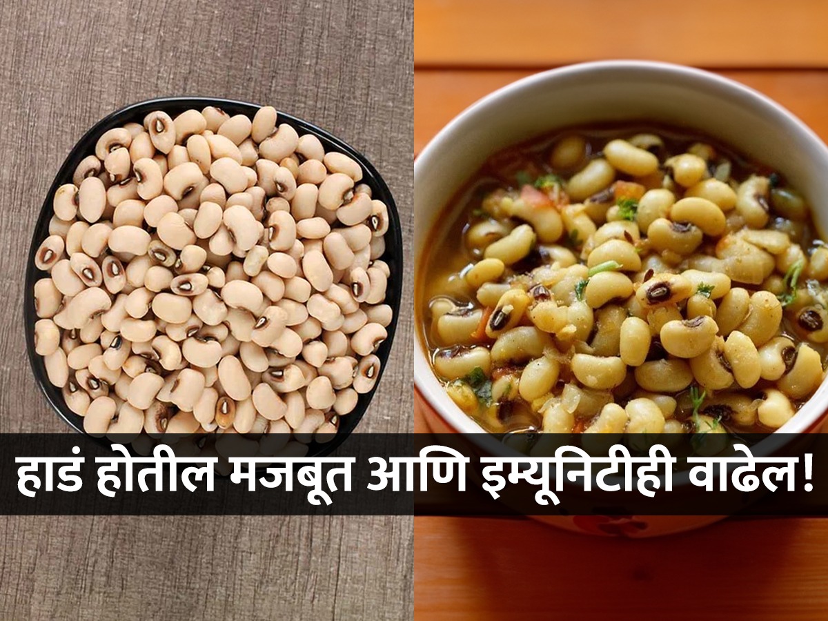 हिवाळ्यात चवळी खाल्ल्याने शरीराला मिळतात भरपूर फायदे, वाचाल तर रोज खाल ...