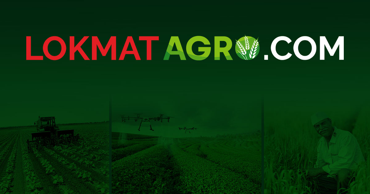 Agriculture & Farming News in Marathi, Latest Information on Organic ...