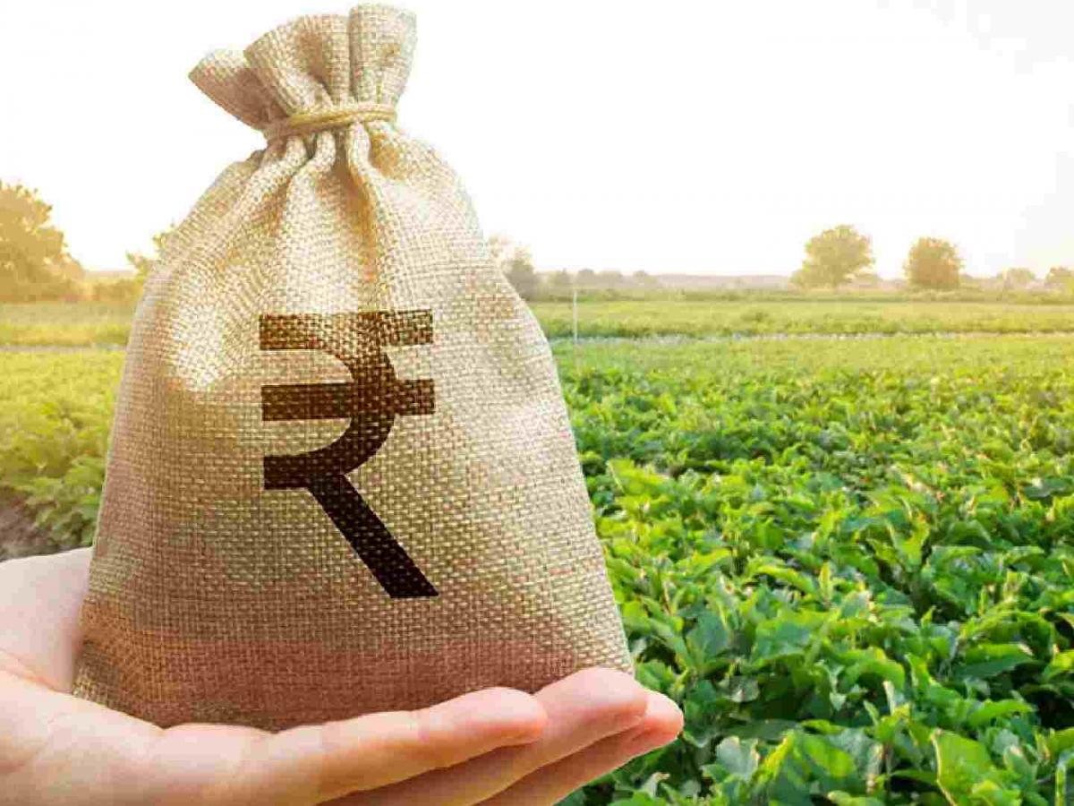 पीक कर्जासाठी 'सिबिल'ची अट लावल्यास बँकांवर कारवाई करा; शासनाचे निर्देश ...