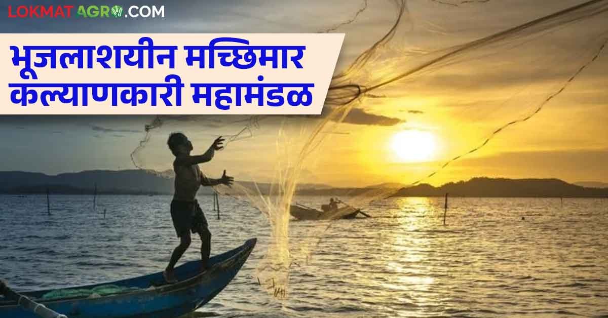 Agriculture News : मच्छिमार बांधवासाठी महत्वपूर्ण निर्णय, मत्स्यबीज ...