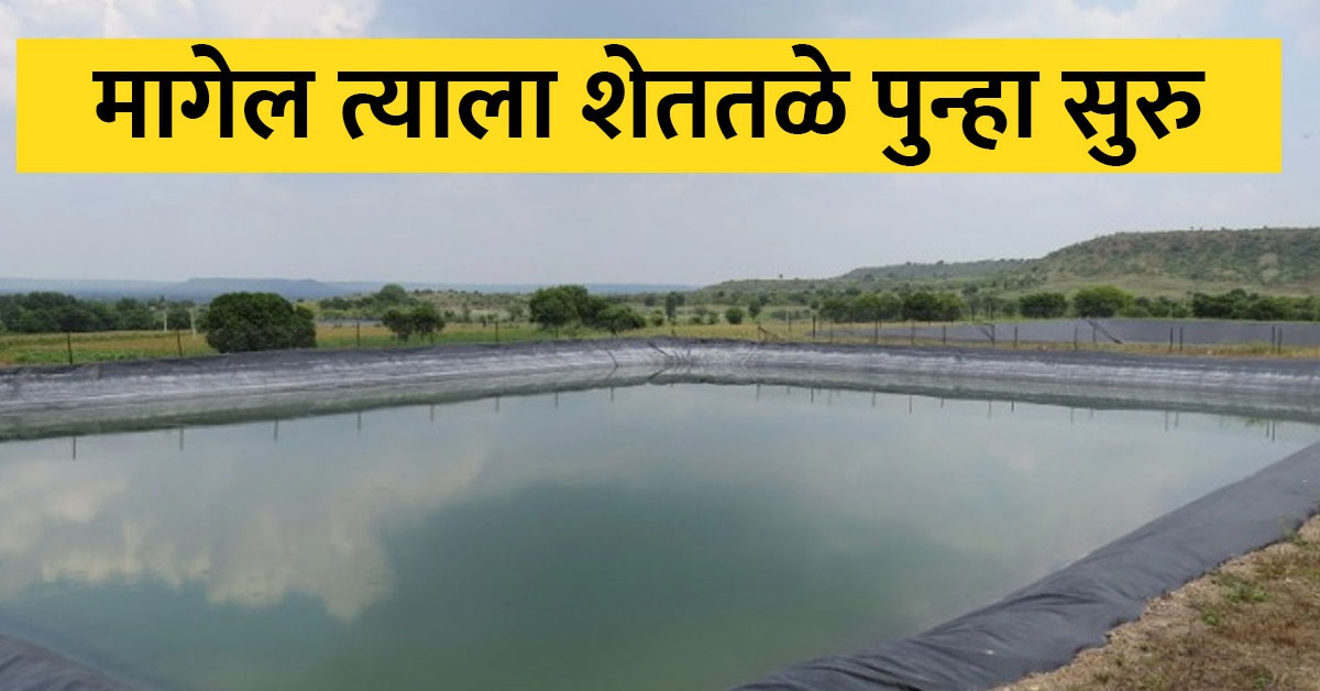 नमो शेततळे अभियान; राज्यात ७३०० शेततळे उभारण्यास मान्यता | namo ...