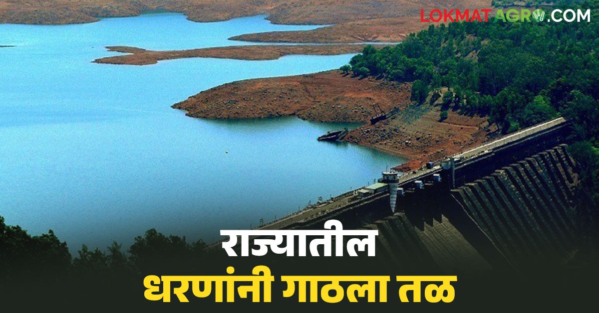 यंदा धरणांच्या पाणीसाठ्यात चिंताजनक घट; राज्यातील 'या' १८ धरणांची ...
