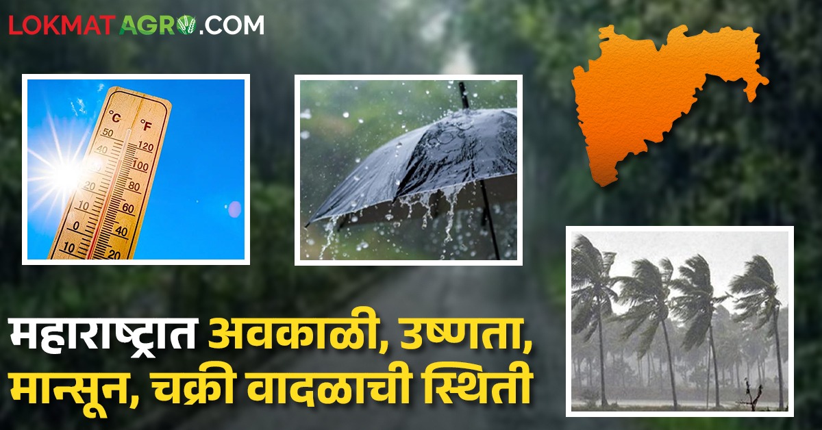 Maharashtra Weather Forecast : महाराष्ट्रात अवकाळी, उष्णता, मान्सून ...