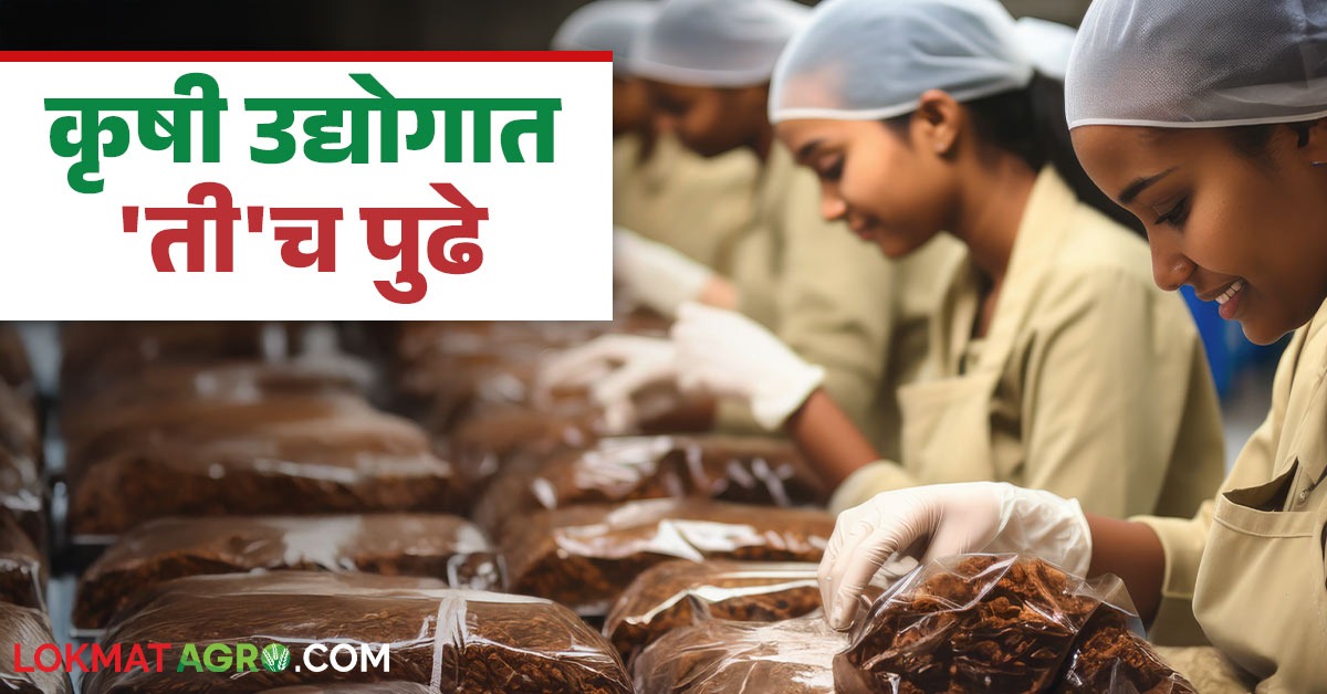 'कृषी उद्योगा'त महिला राज; केंद्राच्या सूक्ष्म अन्नप्रक्रिया उद्योग ...