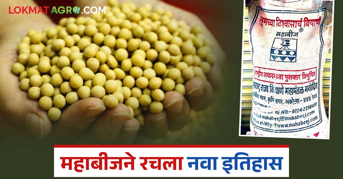latest news MahaBeej Seeds: MahaBeej Akola Laboratory gets national ...