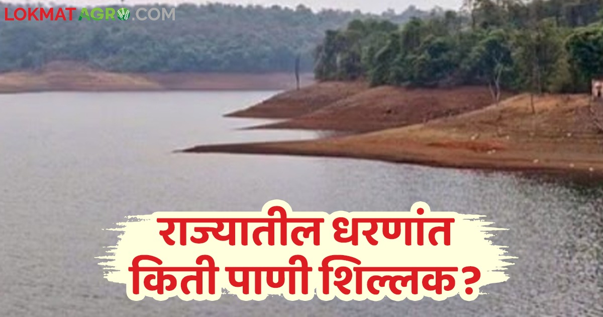 latest news Maharashtra Dam Water Storage : maharashtra dam water ...