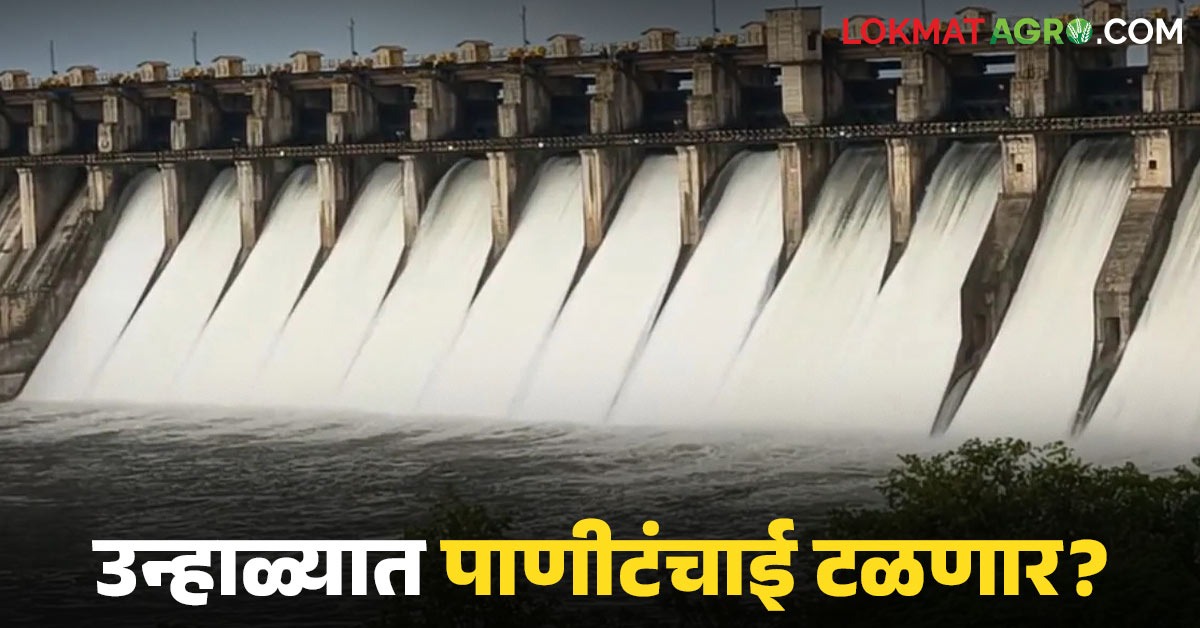 latest news Maharashtra Dam Water Storage read in details