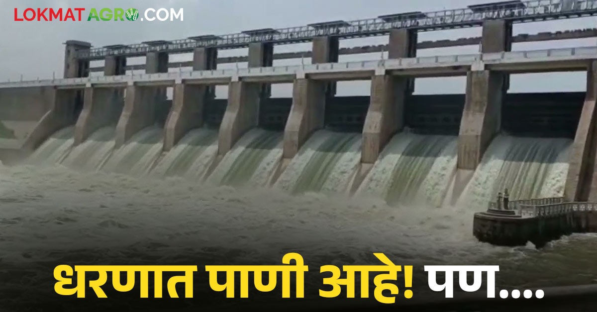 latest news Maharashtra Dam Water Level 64.90 percent water storage in ...