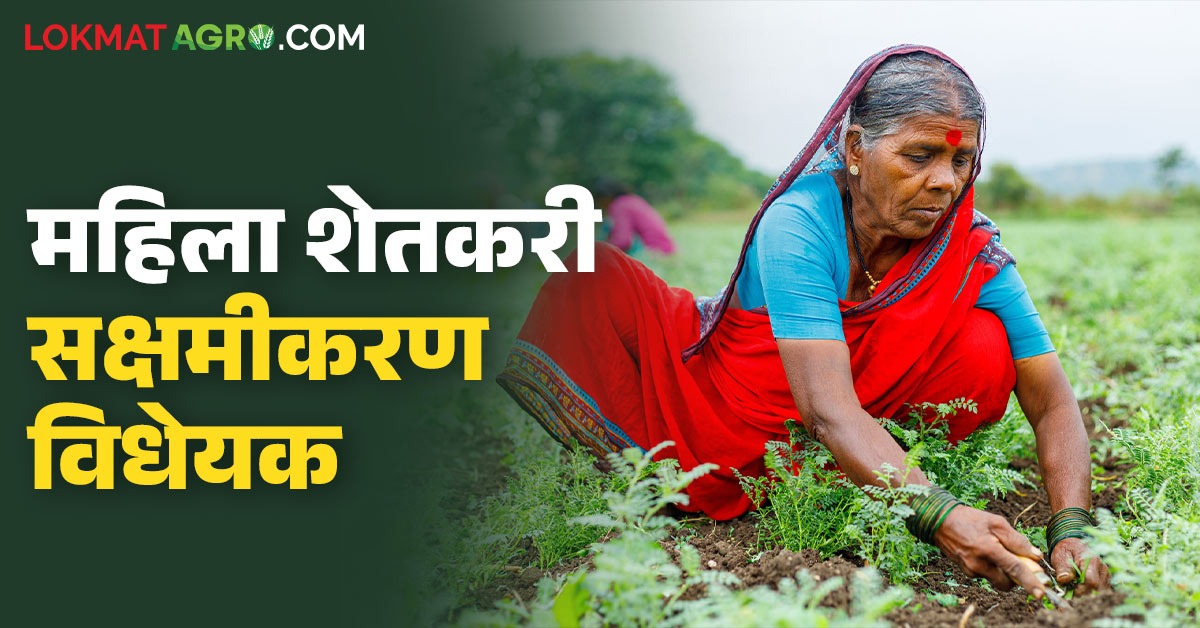 latest news Mahila Shetkari: mahila shetkari sakshamikaran vidheyak 2026
