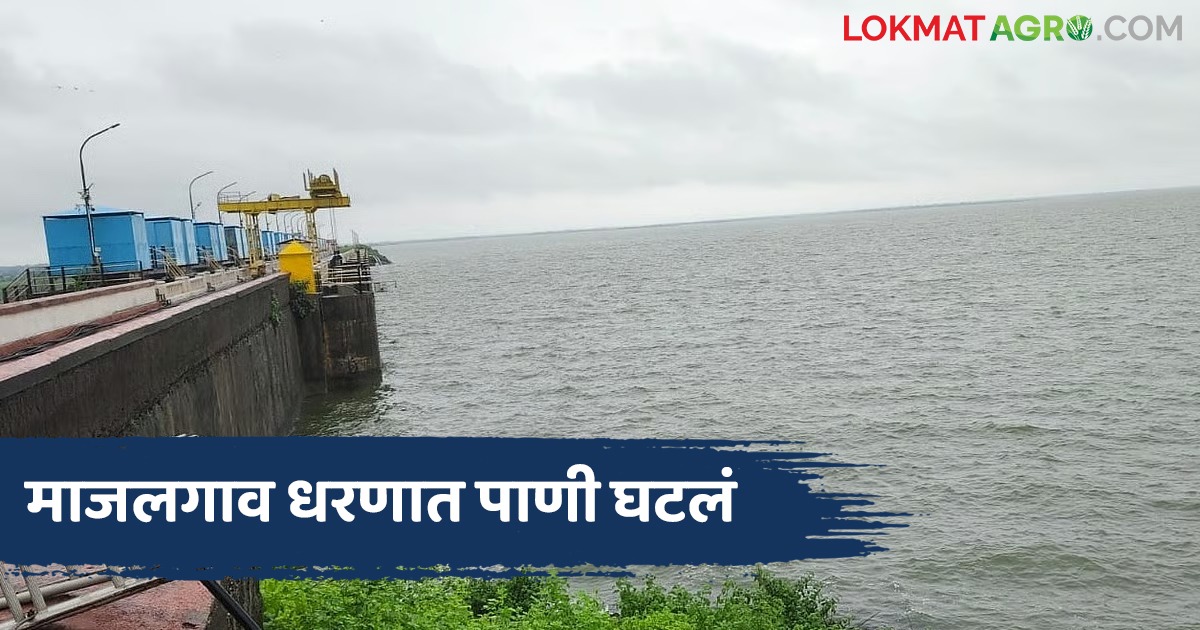 latest news Majalgaon Dam Water Level: Is the water level in Majalgaon ...