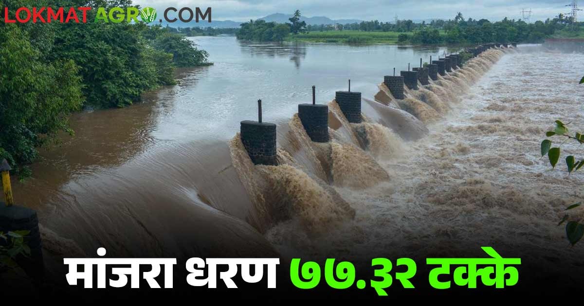 Manjara Dam Water Update : लातूरचे मांजरा धरण ७७.३२ टक्के भरले; शेती ...