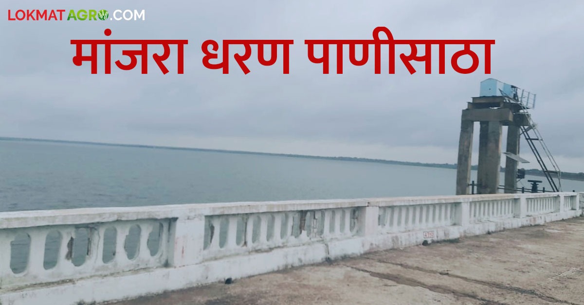 latest news Manjara Dam Water Storage read in details