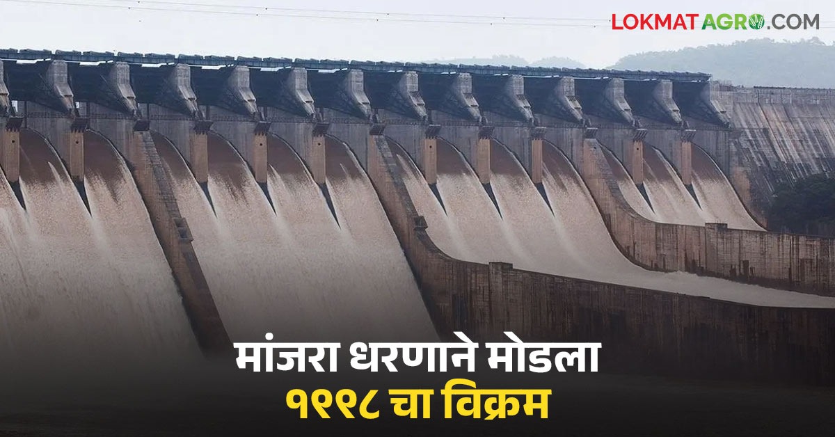 latest news Manjara Dam Water Release read in details