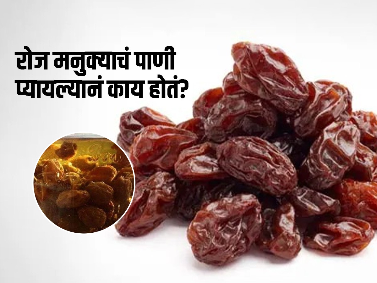 १ महिना रोज मनुक्याचं पाणी प्यायल्यानं काय होईल? शरीरासाठी अत्यंत ...