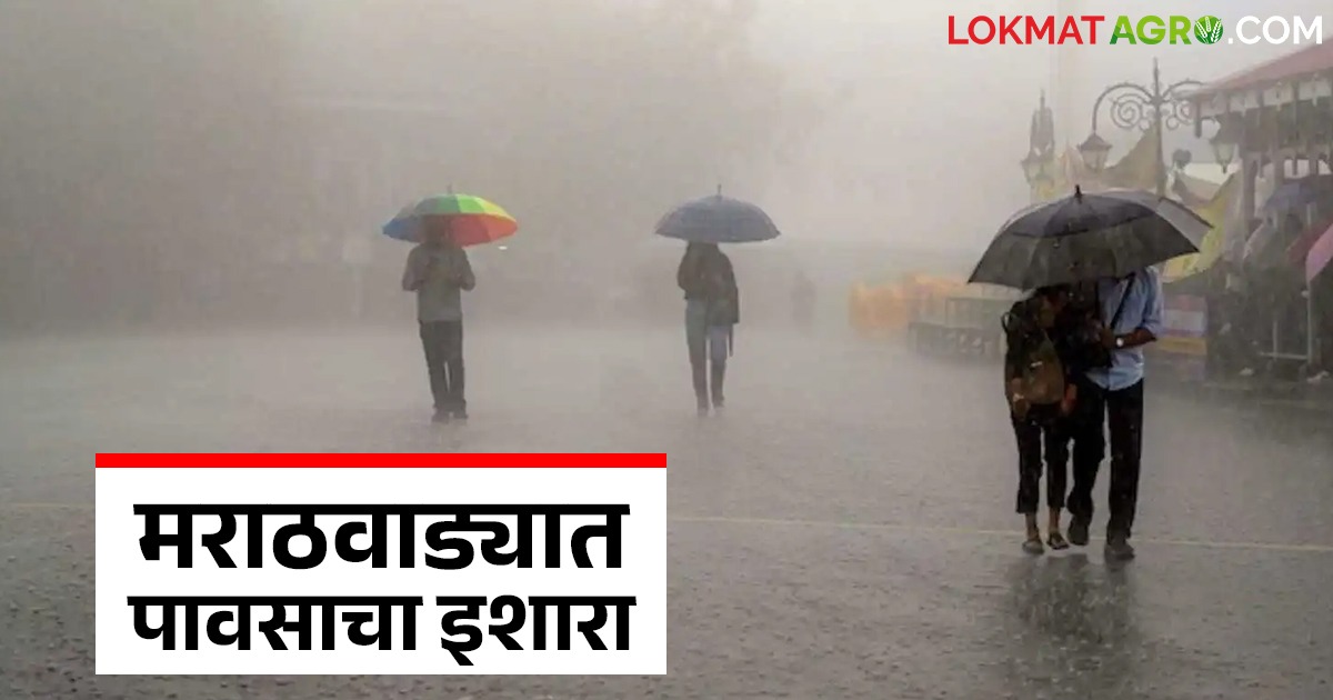 latest news Marathwada Rain Update read in details