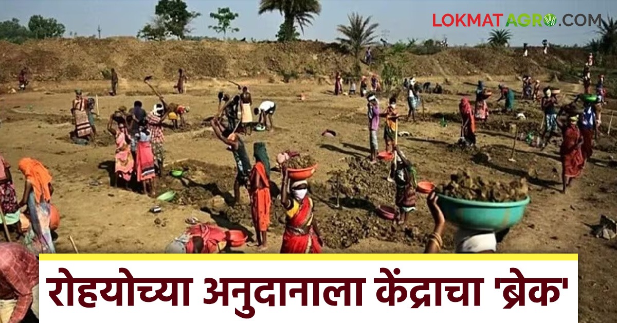 latest news ROHYO work stopped in Marathawada districts