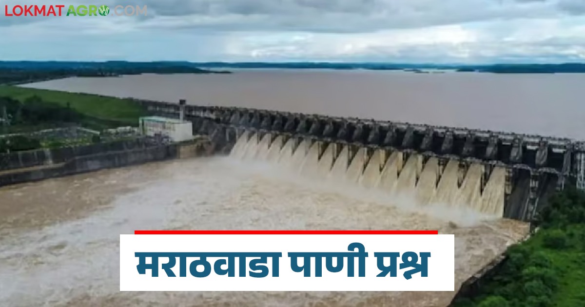 marathawada water issue not solved yet