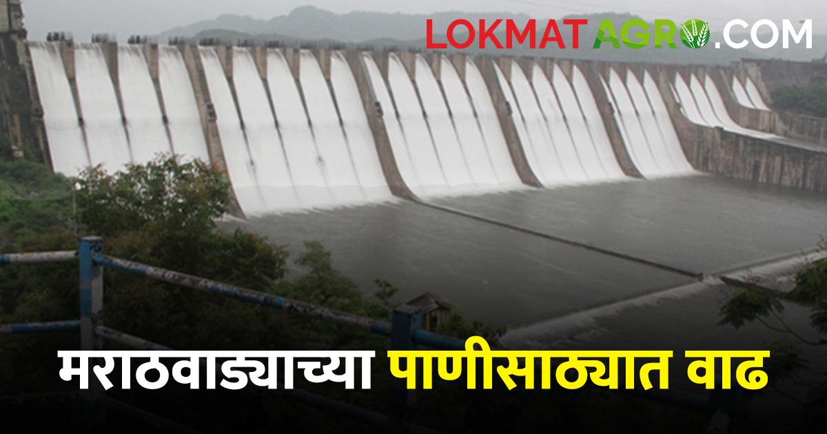 Marathwada Dam Storage मराठवाड्याच्या पाणीसाठ्यात होतेय वाढ; वाचा ...