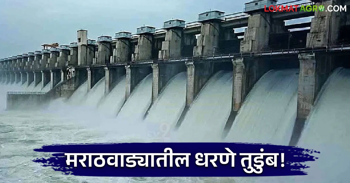 latest news Marathwada Dam Water Level read in details