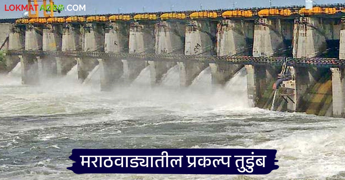 latest news Marathwada Dam Water Level read in details