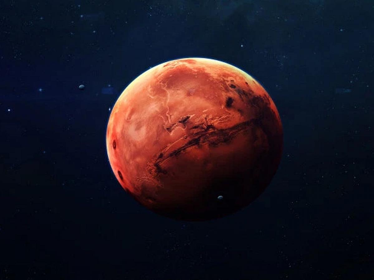 मंगळ ग्रहावर रहायचं असेल खावे लागू शकतात सहा पायांचे कीटक - रिसर्च ...
