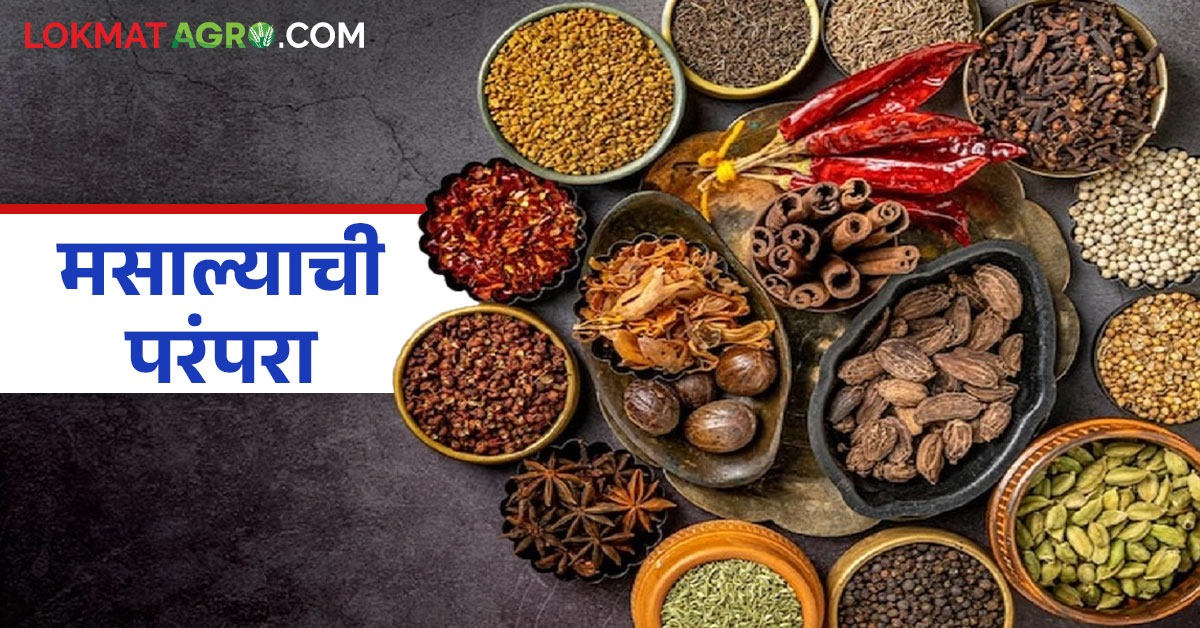 latest news Homemade Traditional Masala Doing Women at Home