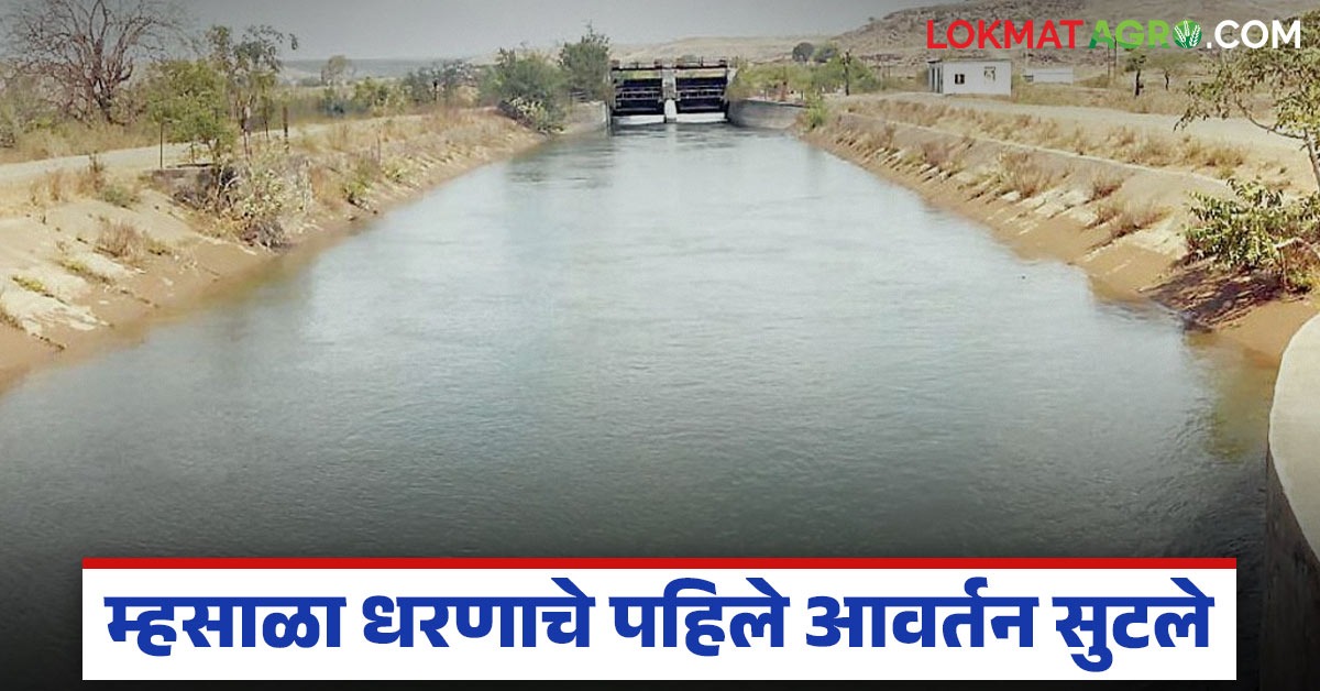 म्हसाळा धरणाचे पहिले आवर्तन सुटले; शेकडो शेतकऱ्यांना होणार फायदा ...