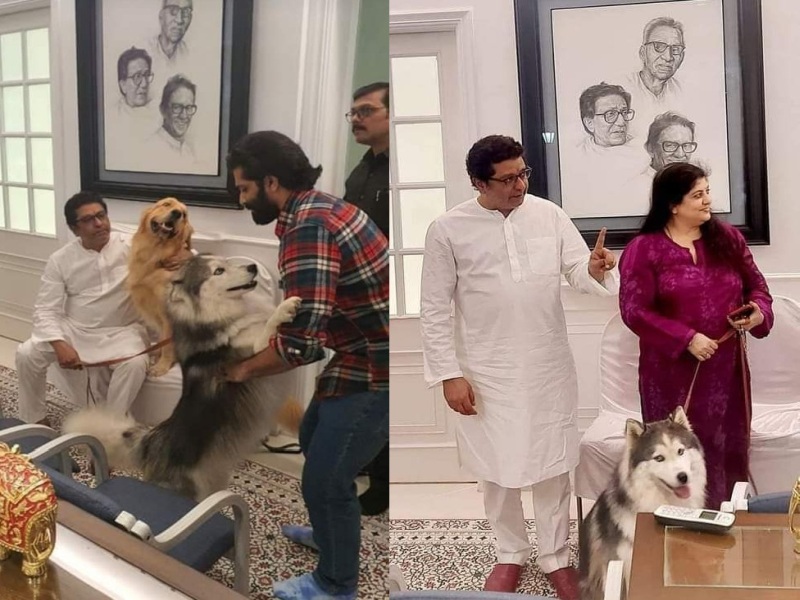 राज ठाकरेंच्या बैठकीसह त्यांच्या घरातील श्वानांची देखील चर्चा; सोशल ...