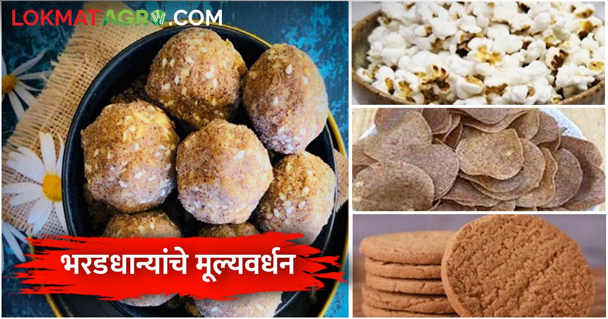 भरडधान्यांचे प्रक्रियायुक्त पदार्थ कसे बनवाल? | How to make processed ...