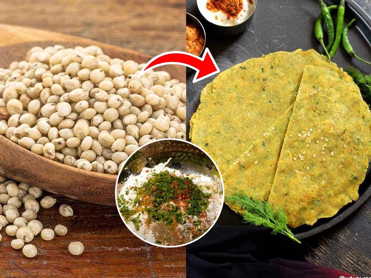 Maharashtra food : ज्वारीचं थालीपीठ चवीला असं खमंग की बाकी सारे ...