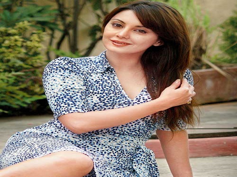 ‘छोट्या पडद्यासह माझ्या नव्या जर्नीला सुरूवात’-मिनिषा लांबा - Marathi News | 'My new Journey ...