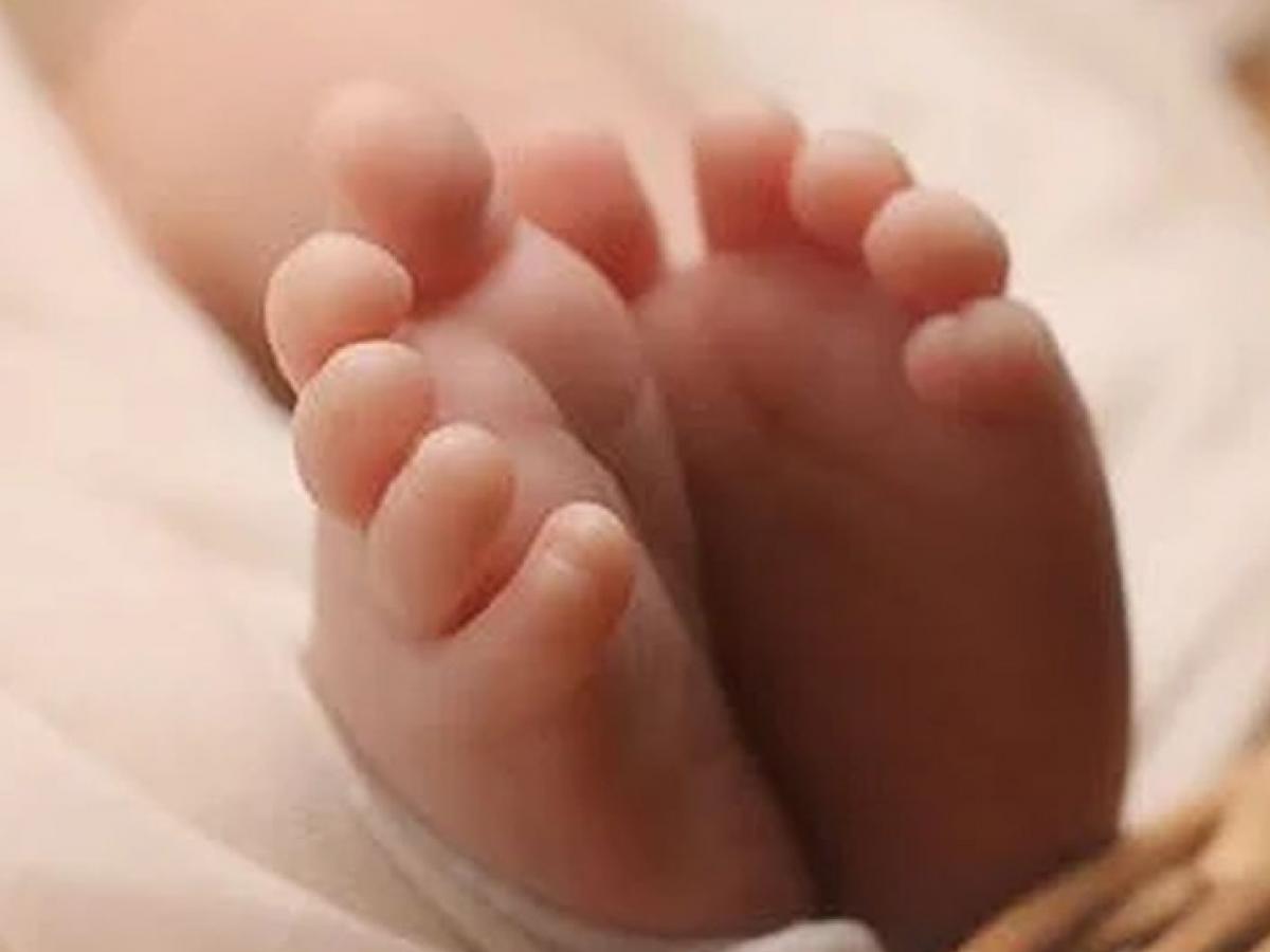 Sangli News: मिरजेत मृत नवजात अर्भक मातेनेच टाकल्याचे निष्पन्न Sangli ...