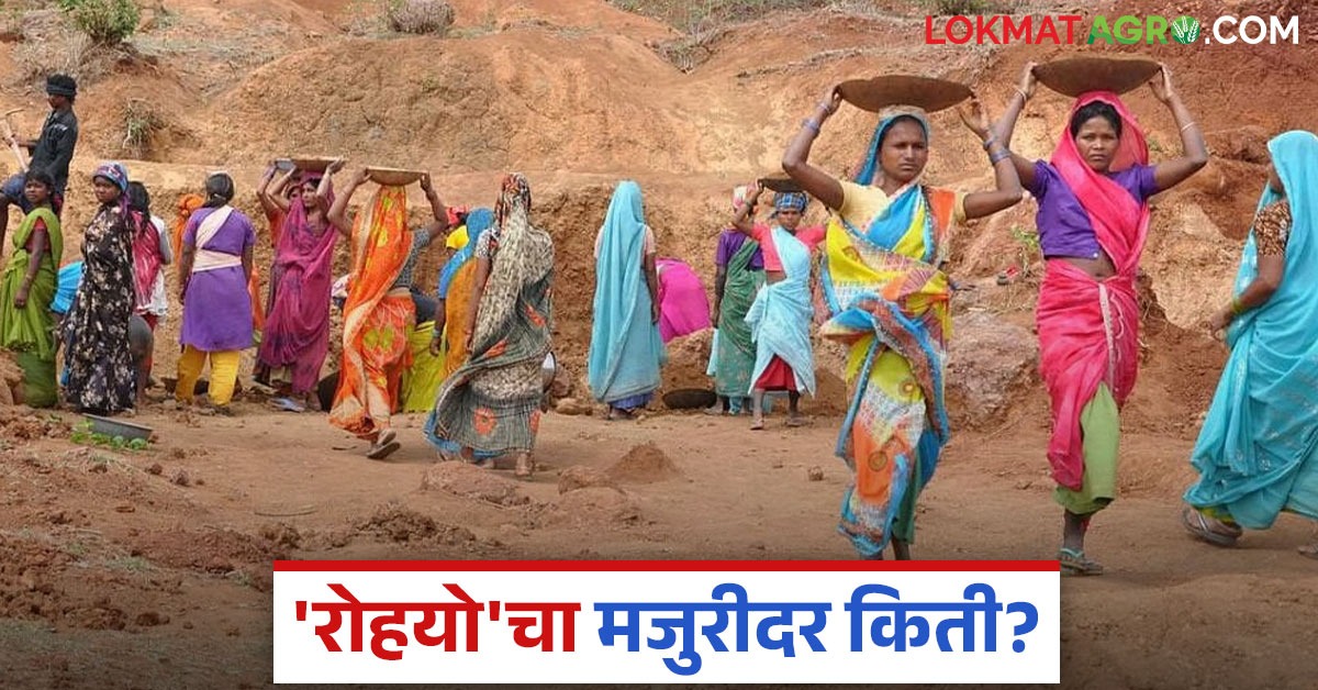 To know about MGNREGA Wages read in details