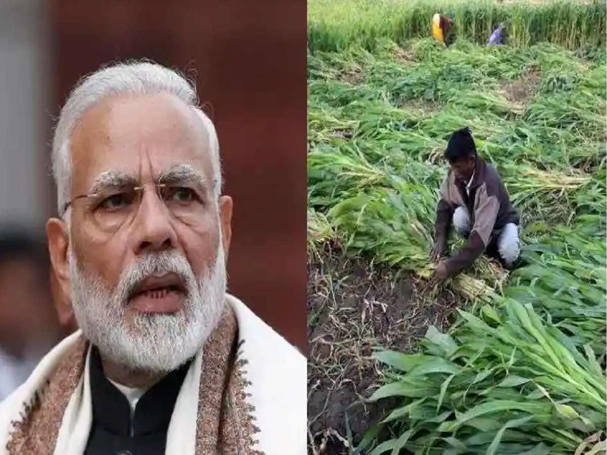 PM Kisan च्या हप्त्यापूर्वी शेतकऱ्यांसाठी खुशखबर! आज मोदी सरकार घेणार ...