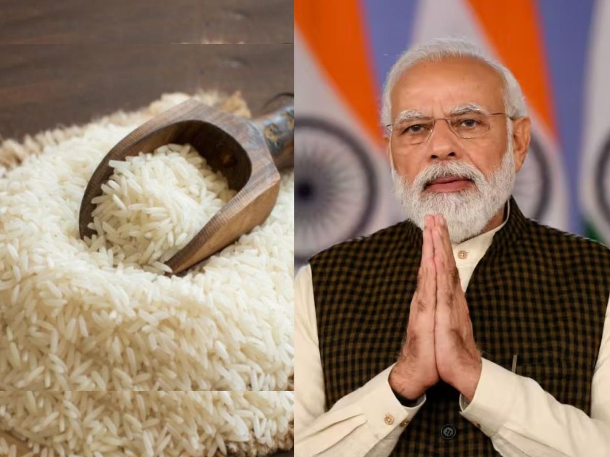 आता मोदी सरकार 25 रुपये किलोने विकणार तांदूळ?; जाणून घ्या, कुठे करता ...