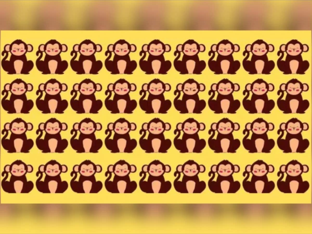 फोटोतील एक माकड आहे वेगळं, 7 सेकंदात शोधण्याचं आहे चॅलेंज! - Marathi ...