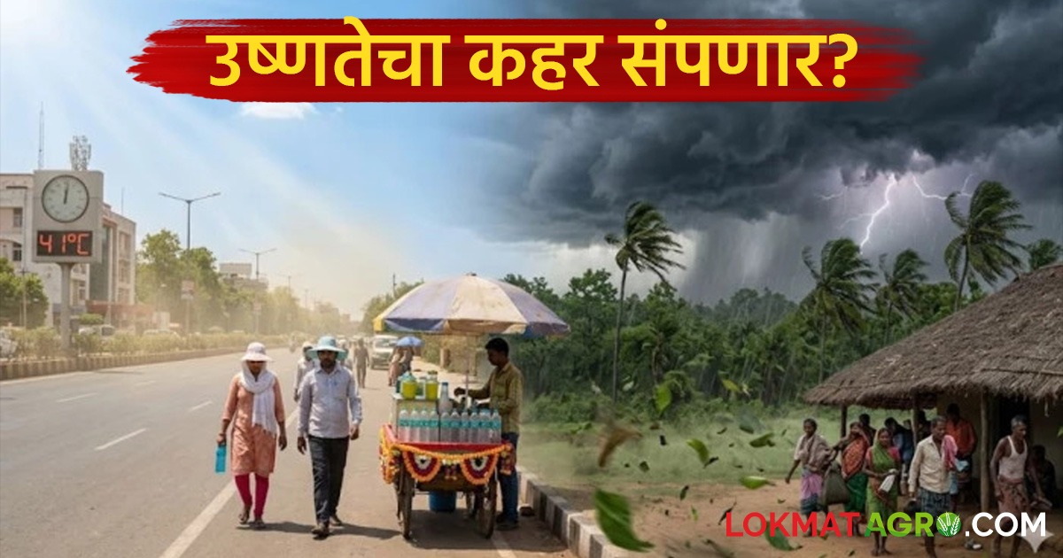 latest news Monsoon Arrival Date: Monsoon has taken a fast run; Weather ...