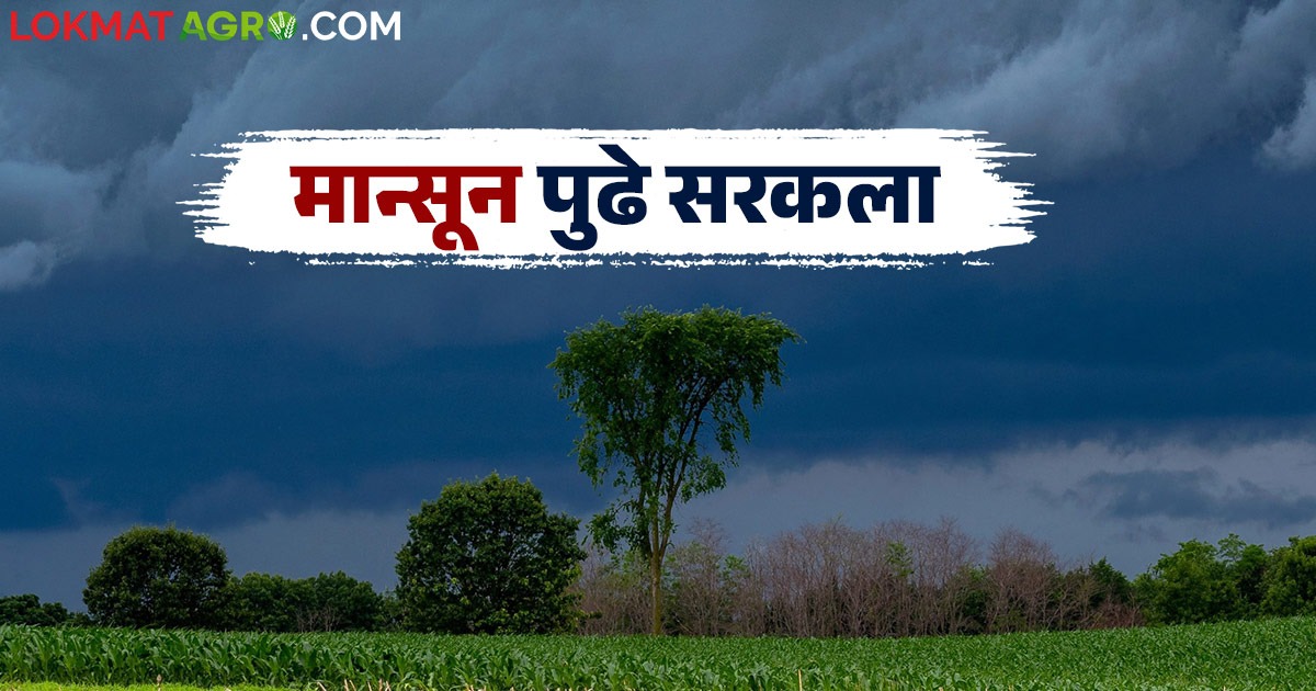 Monsoon Update : मान्सून पुढे सरकण्यासाठी अनुकूल परिस्थिती ...