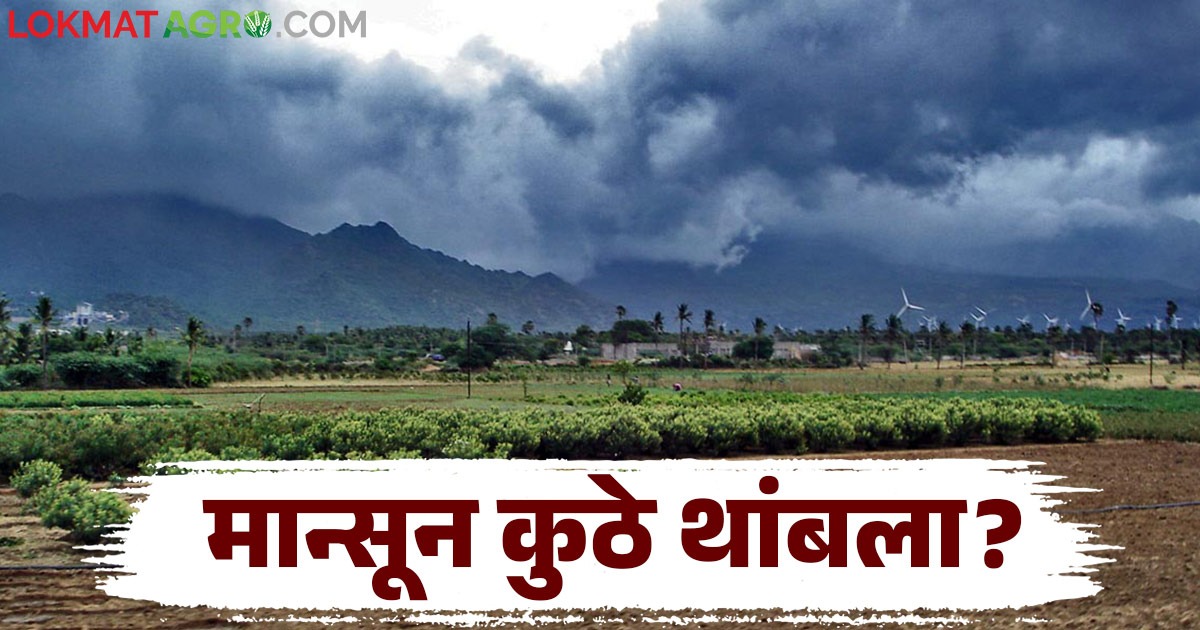 Monsoon Update : मान्सून कुठे थांबला? पुढील ३-४ दिवसात पूर्वमान्सून ...