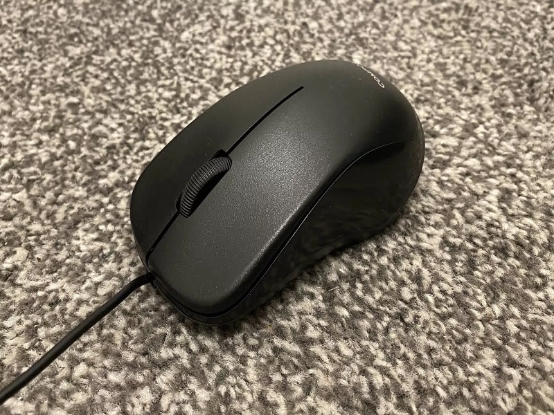 कॉम्प्युटरच्या माऊसला 'माऊस' का म्हणतात? जाणून घ्या यामागचा मजेशीर ...