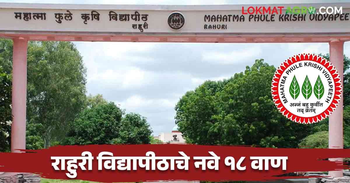 शेतकऱ्यांसाठी गुडन्यूज राहुरी कृषी विद्यापीठाचे १८ नवीन वाण देशपातळीवर ...